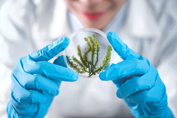 When clean becomes too clean - Science - YUN Probiotherapy