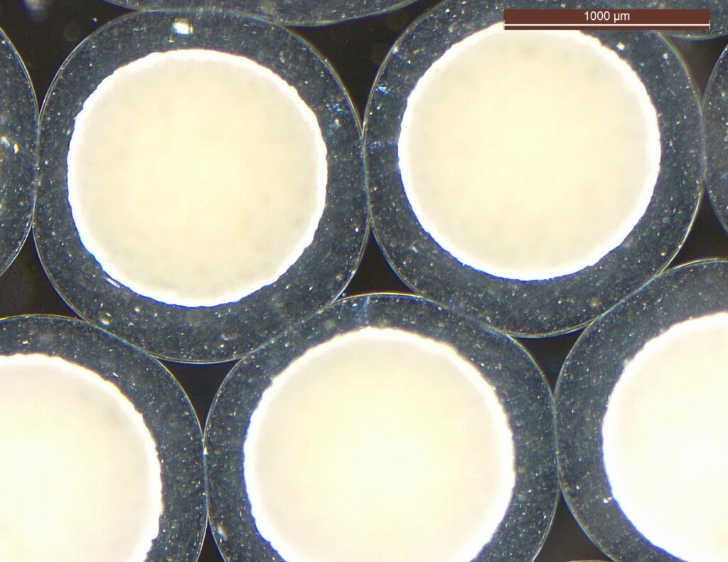 The magic of microcapsules - Wetenschap - YUN Probiotherapy