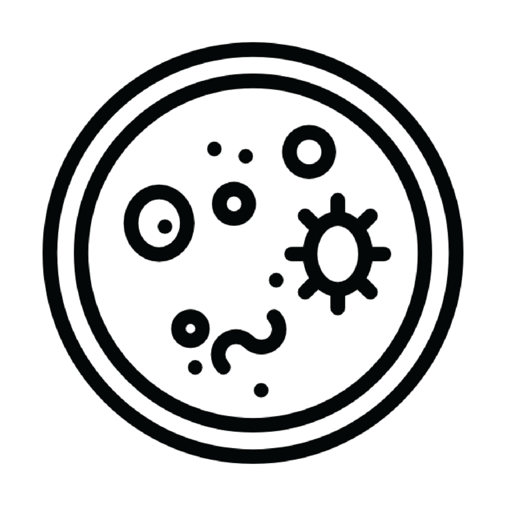 BBY - Baby skincare - YUN